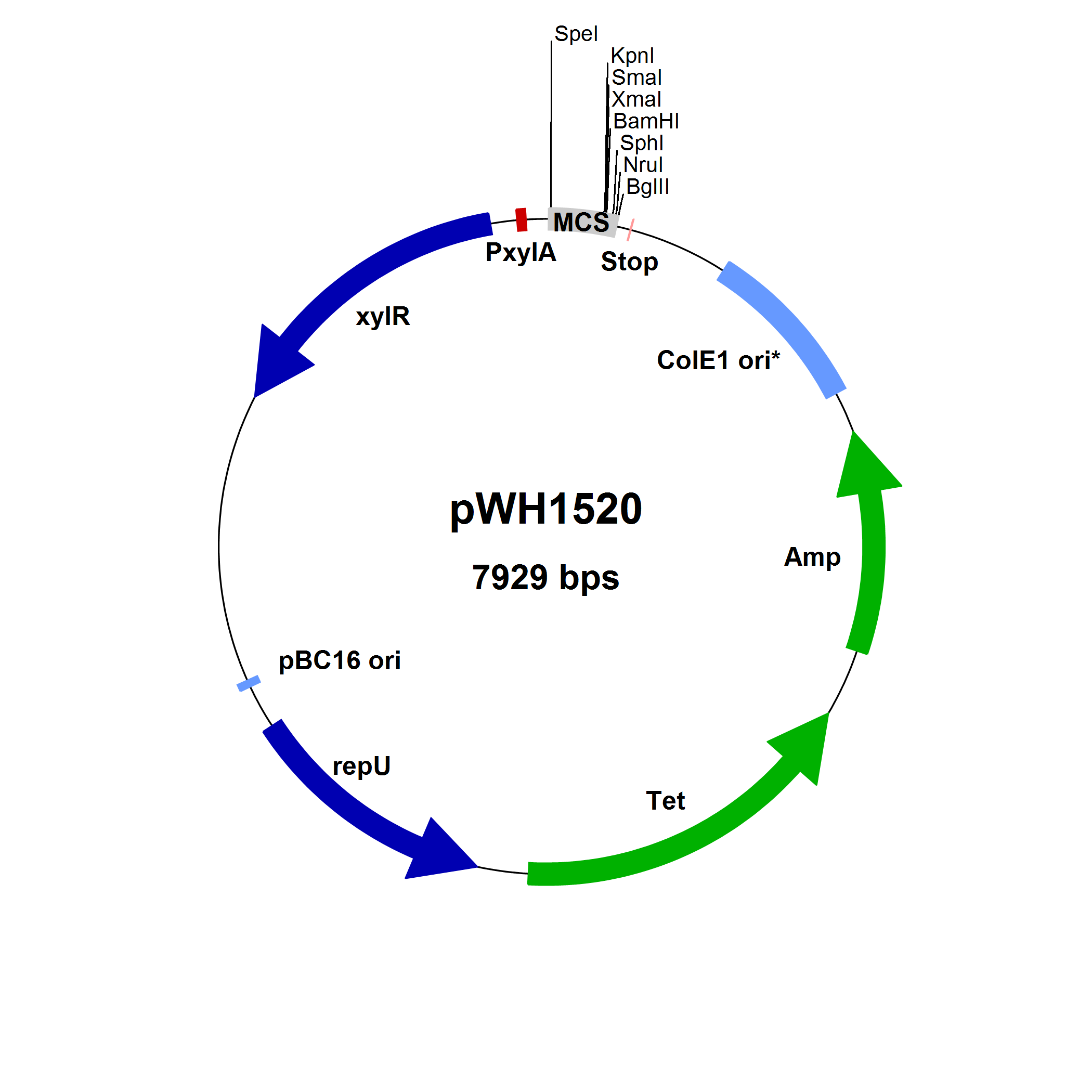 Bacillus megaterium vector pWH1520 | Bacillus Expression Systems | Vector Systems | Products ...