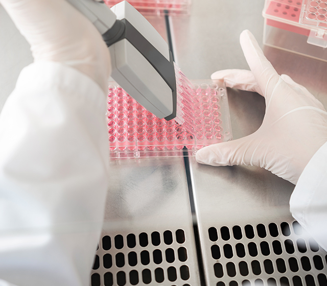 OVA-A2 Peptide, SAINFEKL, OVA (257-264) Variant - 1 mg | Peptides ...