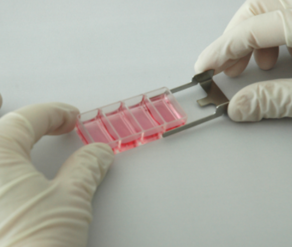 Imaging Chamber CG Adapter | Cell Imaging Consumables | Lab Supplies ...