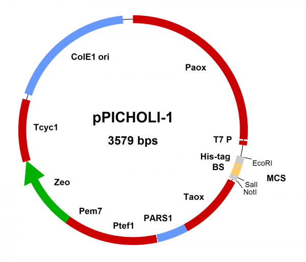 Gene Expression in Pichia pastoris: pPICHOLI vectors | Yeast Expression ...