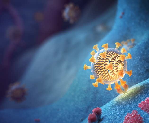 SARS-CoV-2 Spike receptor binding domain, RBD (352-365) - 0.5 mg | Peptides | Proteomics ...