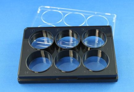 Imaging Plate 6 CG 1.0, black body, sterile | Imaging | Lab Supplies ...