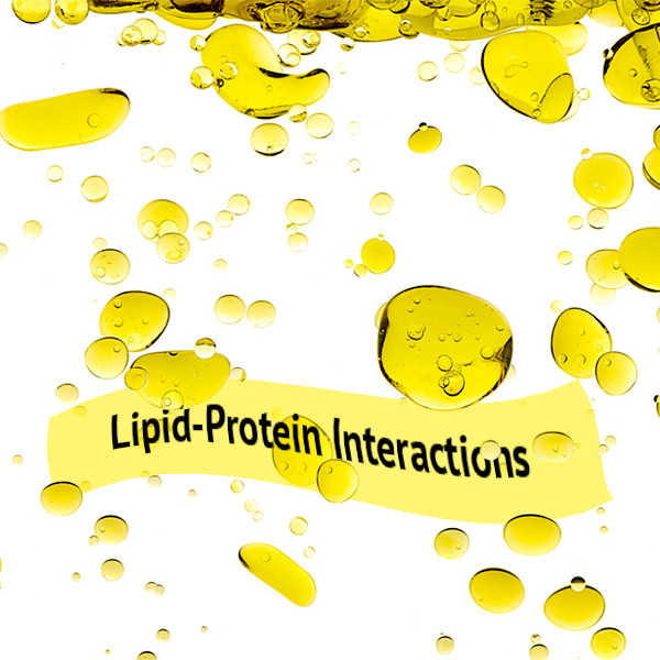 PIP Strips - Lipid-Protein Interaction Assay (Echelon Product Code: P ...