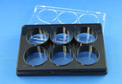 Imaging Plate 6 CG 1.0, black body, sterile | Imaging | Lab Supplies ...