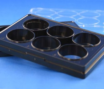 Imaging Plate 6 FC, black body, sterile | Imaging | Lab Supplies ...