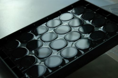 Imaging Plate 96 FC, black body, sterile | Imaging | Lab Supplies ...