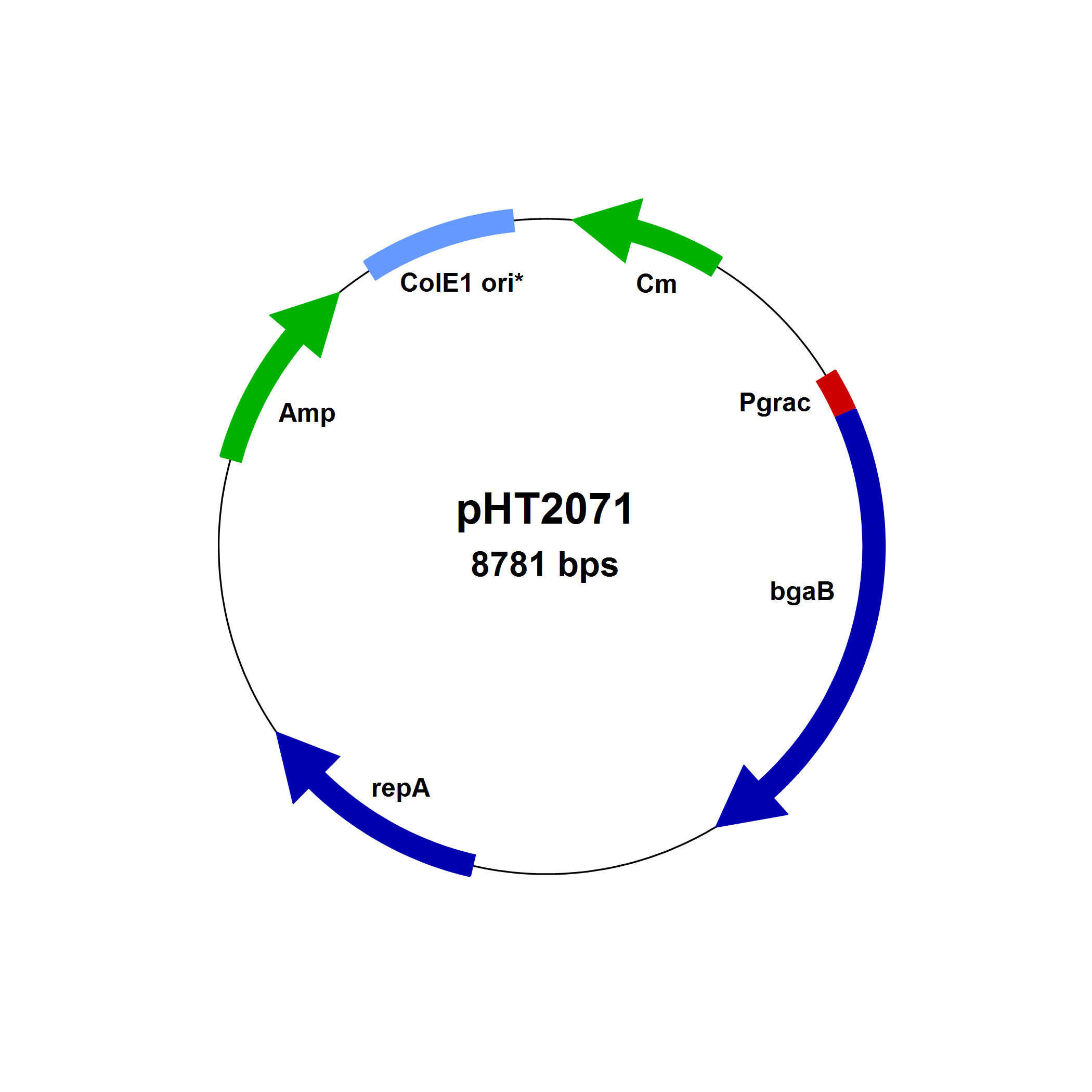 Bacillus subtilis control vector pHT2071 for the constitutive expression system, available only ...